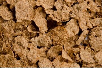 17 High Fiber Foods for a Fit Lifestyle - Fitness Bash