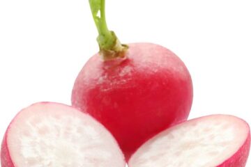 8 Low-Carb Root Vegetables to Include in Your Diet Now - Fitness Bash